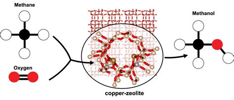 The Crawford Group Renewable Energy Catalysis At Msu