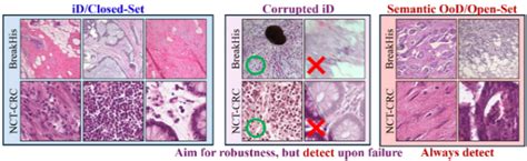 논문 리뷰 Are We Ready For Out Of Distribution Detection In Digital Pathology