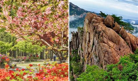 Seoraksan National Park And Nami Island Tour From Seoul Trazy Koreas