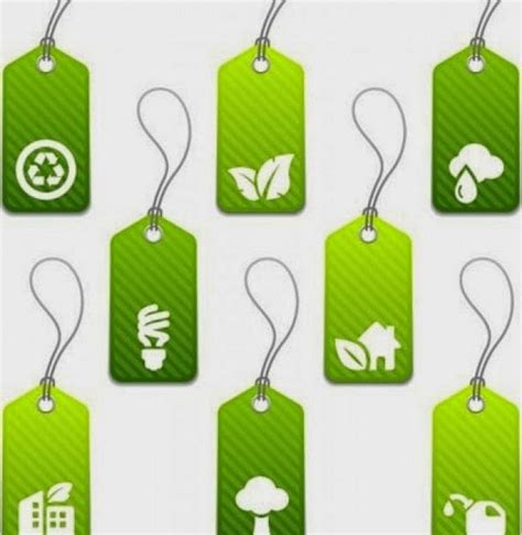 Aspectos Del Medioambiente ¿qué Significan Las Ecoetiquetas