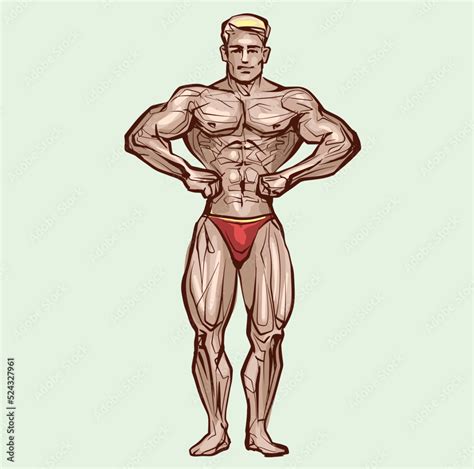 Bodybuilder muscle man, fitness posing. Colored, Isolated, Hand Drawing Vector Illustration ...