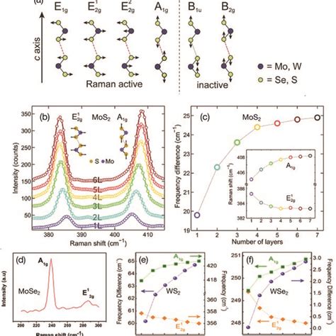 A Schematic Representation Of The Four Raman Active Modes And Two Download Scientific Diagram