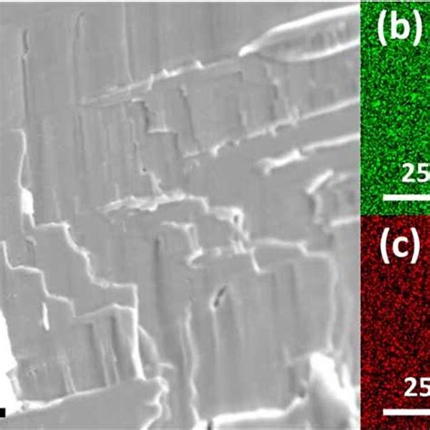 Sem And Edx Analysis Of A Fractured Surface Of Ag2s A Sem Image Of Download Scientific