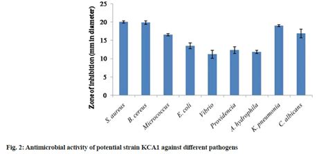 Isolation Characterization And Antimicrobial Activity Of Endophytic Actinobacteria From
