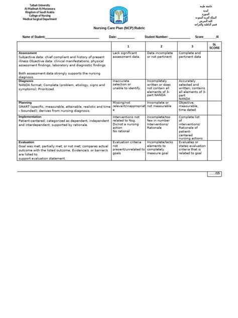 9 Modified Ncp Evaluation Rubric Pdf