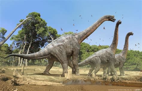 Brachiosaurus By Damir G Martin On DeviantArt