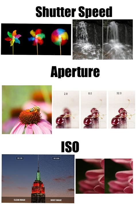 Contrasting Shutter Speed Aperture And ISO Examples