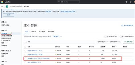 k8s 使用filebeat收集所有容器标准输出的日志 七月流星雨 博客园