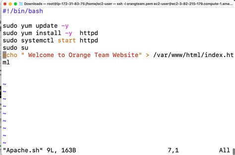 Using Ec2 To Host A Website In Aws And Deliver Web Content Via Bash Script By Bosun Olisa