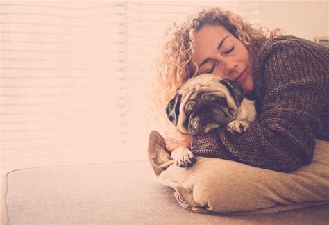 Estornudo Inverso ¿qué Es Y Cómo Ayudar A Nuestra Mascota En Casa