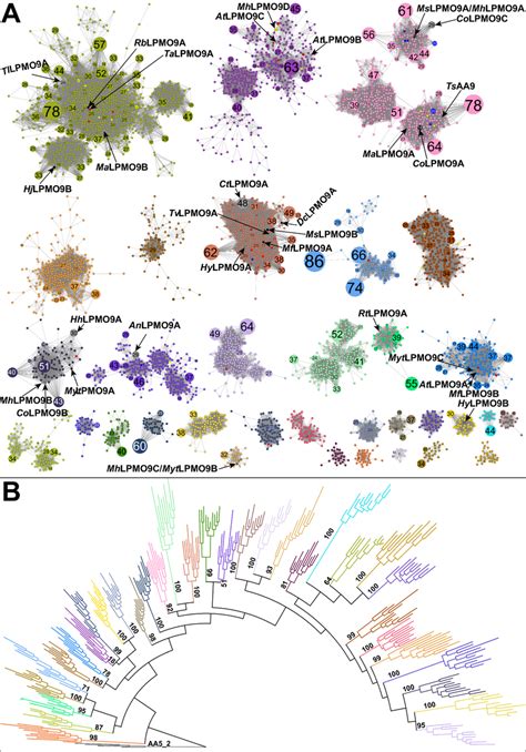 Sequence Relationship Of 5328 Aa9 Catalytic Modules A Sequence
