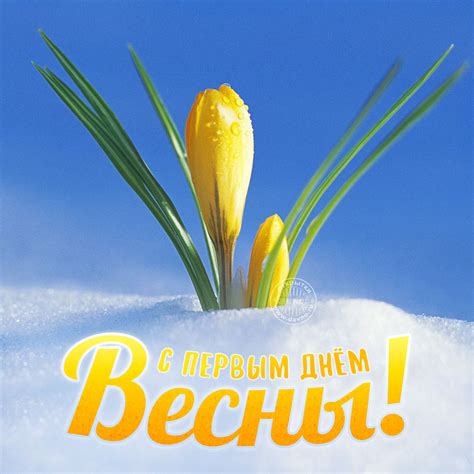 Открытка с первым днём весны Скачайте на