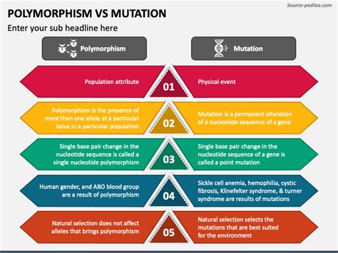 Polymorphism Vs Mutation PowerPoint And Google Slides Template PPT Slides
