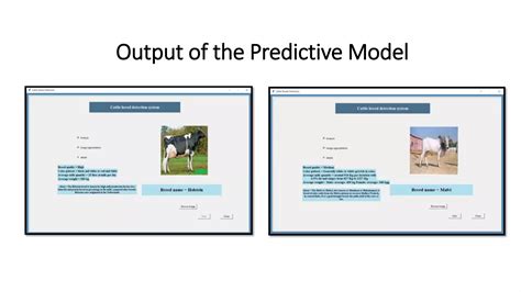 paper presentation on cattle breed detection and categorization using image processing and
