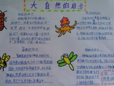 刘姥姥三进大观园手抄报 走进大自然手抄报 天马图吧