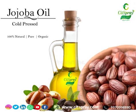 Pure Cold Pressed Jojoba Oil Liquid Packaging Size 50 Ml To 1l At