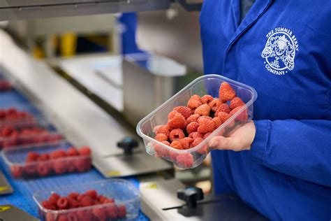 History The Summer Berry Company