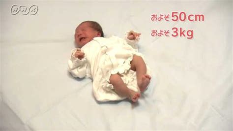おなかの赤ちゃんはどう育つ？ ふしぎエンドレス 理科5年 Nhk For School