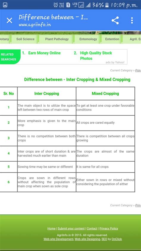 Explain Mixed Cropping And How It Is Different From Intercropping