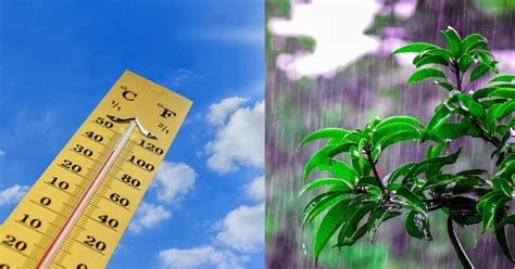 Maharashtra Weather Update राज्यात ३ दिवस तीव्र उष्णतेचा इशारा तर