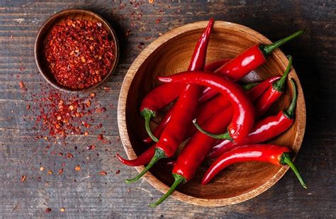 Chili Pepper Telegraph
