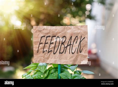 Word Writing Text Feedback Business Photo Showcasing Transmission Of Evaluative Or Corrective