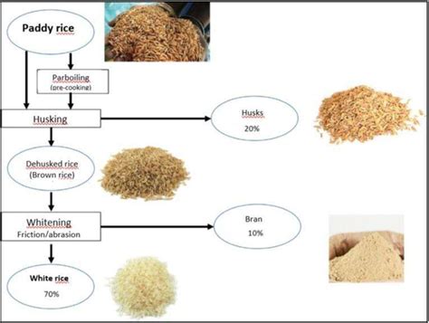 Revolutionizing Rice Processing The Commercial Milling Machine