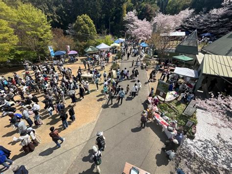 令和5年度山中渓桜まつり大盛況大成功もう完璧でした 人こそ街なり 阪南市 上甲誠