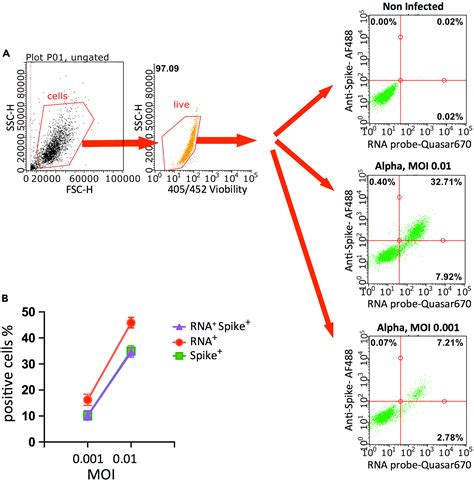 Cell Press Star Protocols