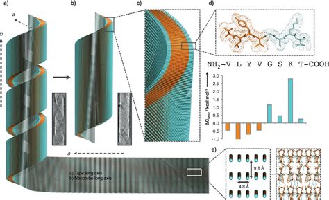 Figure 2 From The Structure Of Cross‐β Tapes And Tubes Formed By An