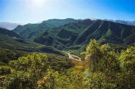 Yungas Jujuy Jujuy Paisajes Argentina
