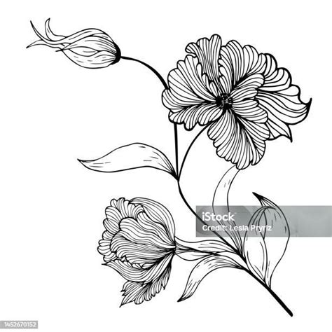꽃 구성 부드러운 꽃과 꽃 봉오리의 가지와 꽃 배경 손 그림 양식화 된 장식 초대장 카드 포스터 전단지 직물 및 종이에 인쇄