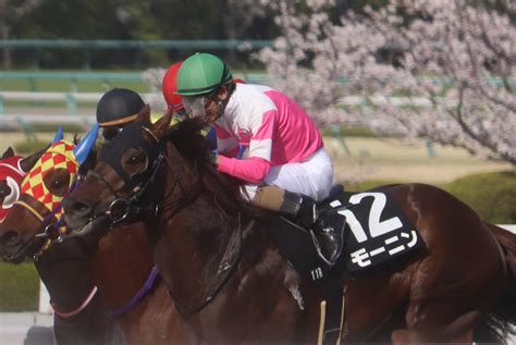 かしわ記念2019の競馬予想分析！3つのデータから導く危険な人気馬