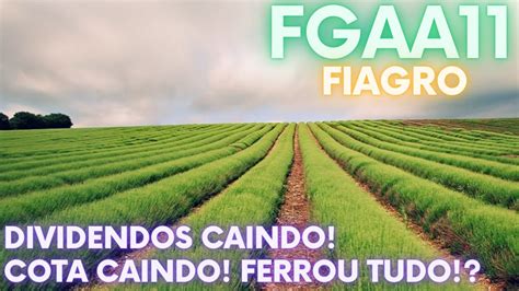 Atualiza O Quent Ssima Fiagro Fgaa Dividendos Dezembro E