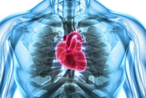 Danon Disease Causes Symptoms Diagnosis Treatment And Management