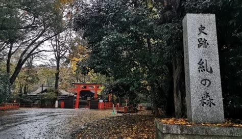 鴨長明方丈記のあらすじをわかりやすく解説 ゆく鴨のブログは絶えずして