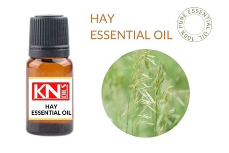 Hay Essential Oil Buy Pure Hay Essential Oil Hierochloe Alpina