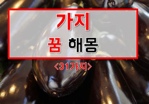 가지 꿈 31가지 해몽 가지먹는 꿈 가지따는 꿈 가지보는 꿈 가지사는 꿈 가지튀기는 꿈 Helpful Information