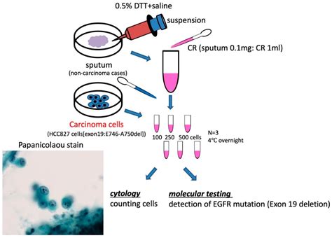Liquid Based Cytology