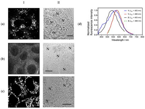 Ratiometric Detection Of Mercury Ii Ions In Living Cells Using Fluorescent Probe Based On Bis
