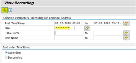 Field Masking How To Use Recording Tool For Mask Sap Community