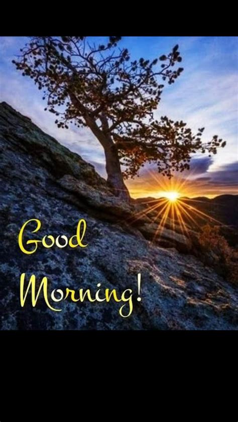 Nature Good Morning Hd Wallpaper