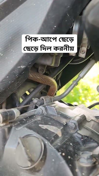 বাইকের পিক আপ ছেড়ে দিলে করনীয় Pickup Bikeproblems Youtube