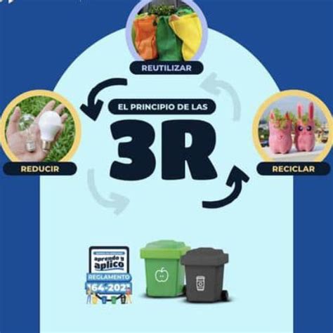 ¿cuáles Son Los Tres Tipos De Clasificación De Basura Que Se Harían En