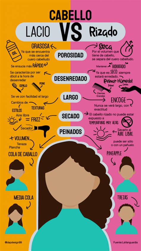 ¿qué Es Una Infografía Ecdisis Estudio