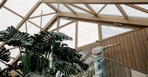 건축 고요한 녹색 생활 방식 녹색 환경 느린 생활 도시 원예 도시 정글 라이프스타일 마음가짐 목조 인테리어 몬스 테라 공장 무기 제기 생태계 식물