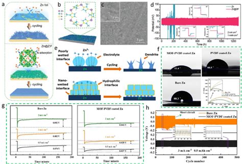 A Schematic Diagram Of The Morphology Evolution Of Bare Zn And Zifzn Download Scientific