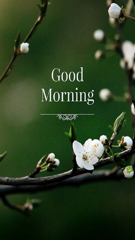 Good Morning Wallpapers For Mobile Phone
