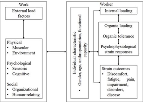 Conceptual Model For The Relationship Of Workload And Individual Strain Download Scientific