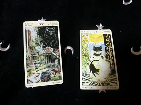 友達ができるかタロットカードで占ってみる。あと最近のぼくとぴこさん